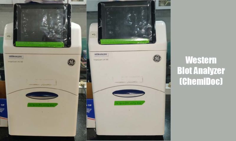 Labs - KIIT School of Biotechnology